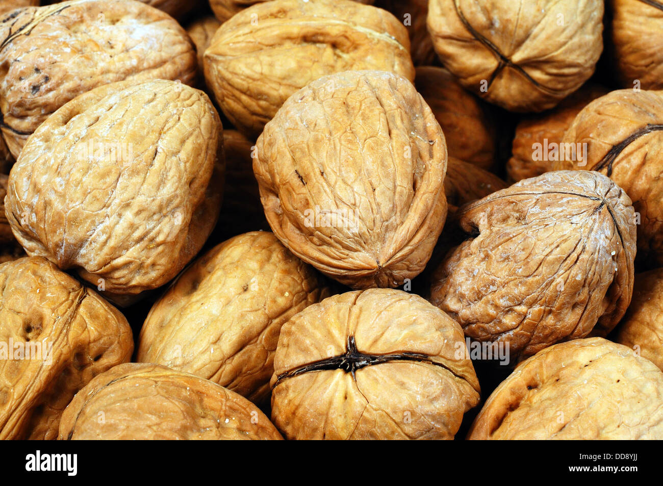 Walnuts in their shells Stock Photo - Alamy
