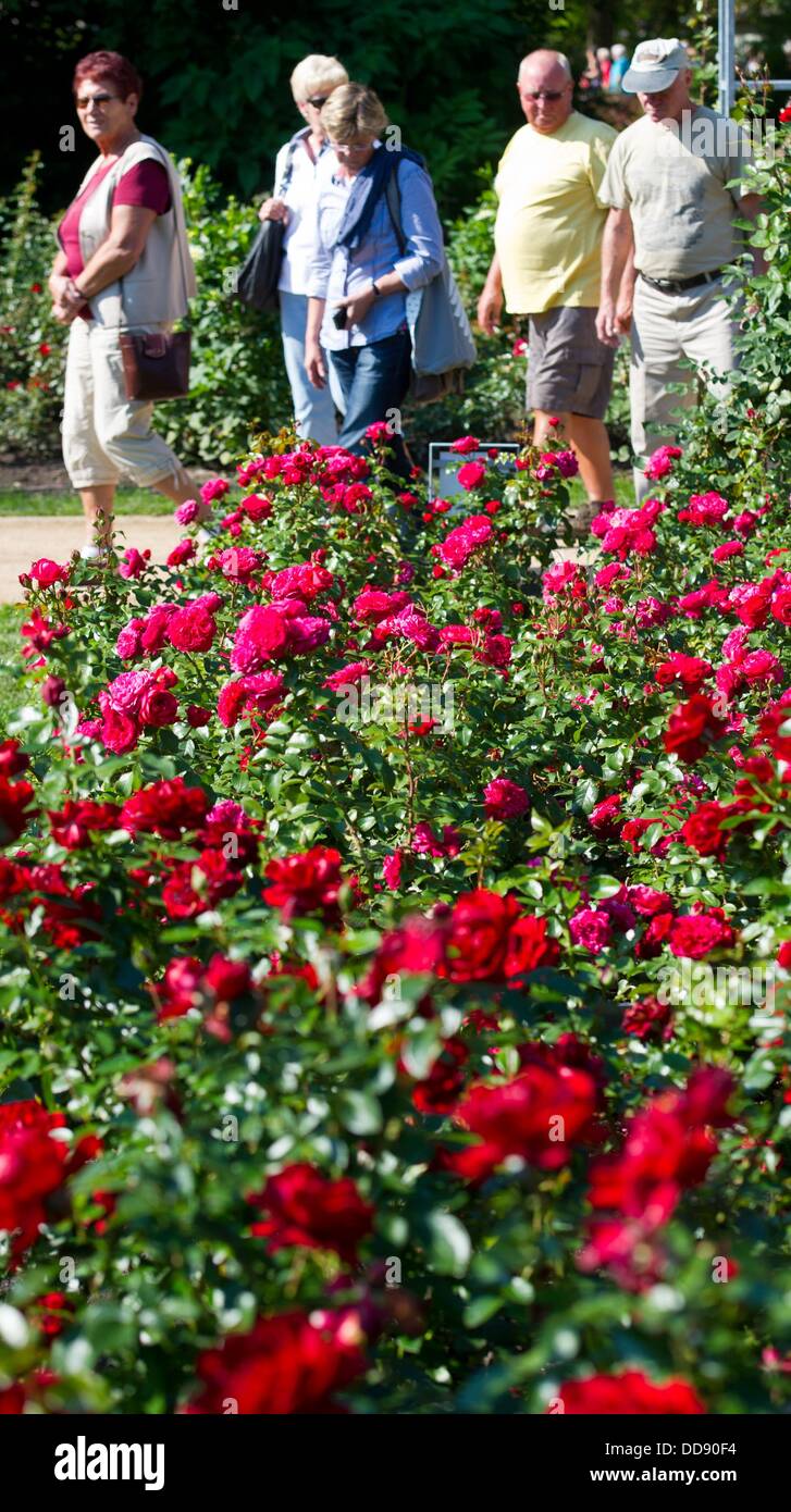 Visitors walk through the East German Rose Garden in Forst, Germany, 29 ...