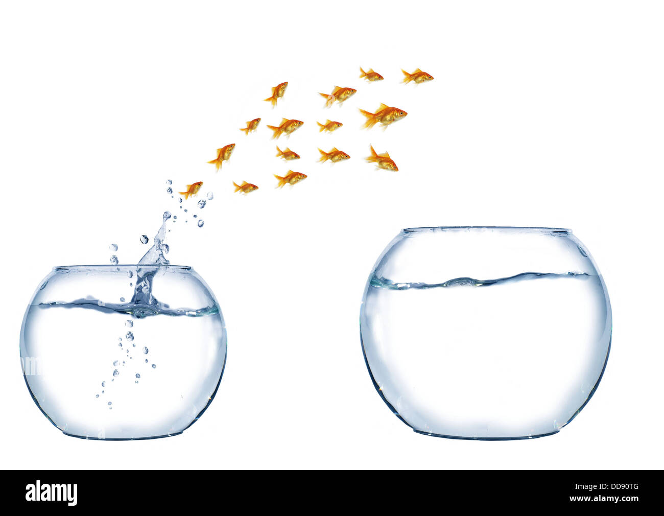 Goldfish jump aquarium water hi-res stock photography and images - Alamy