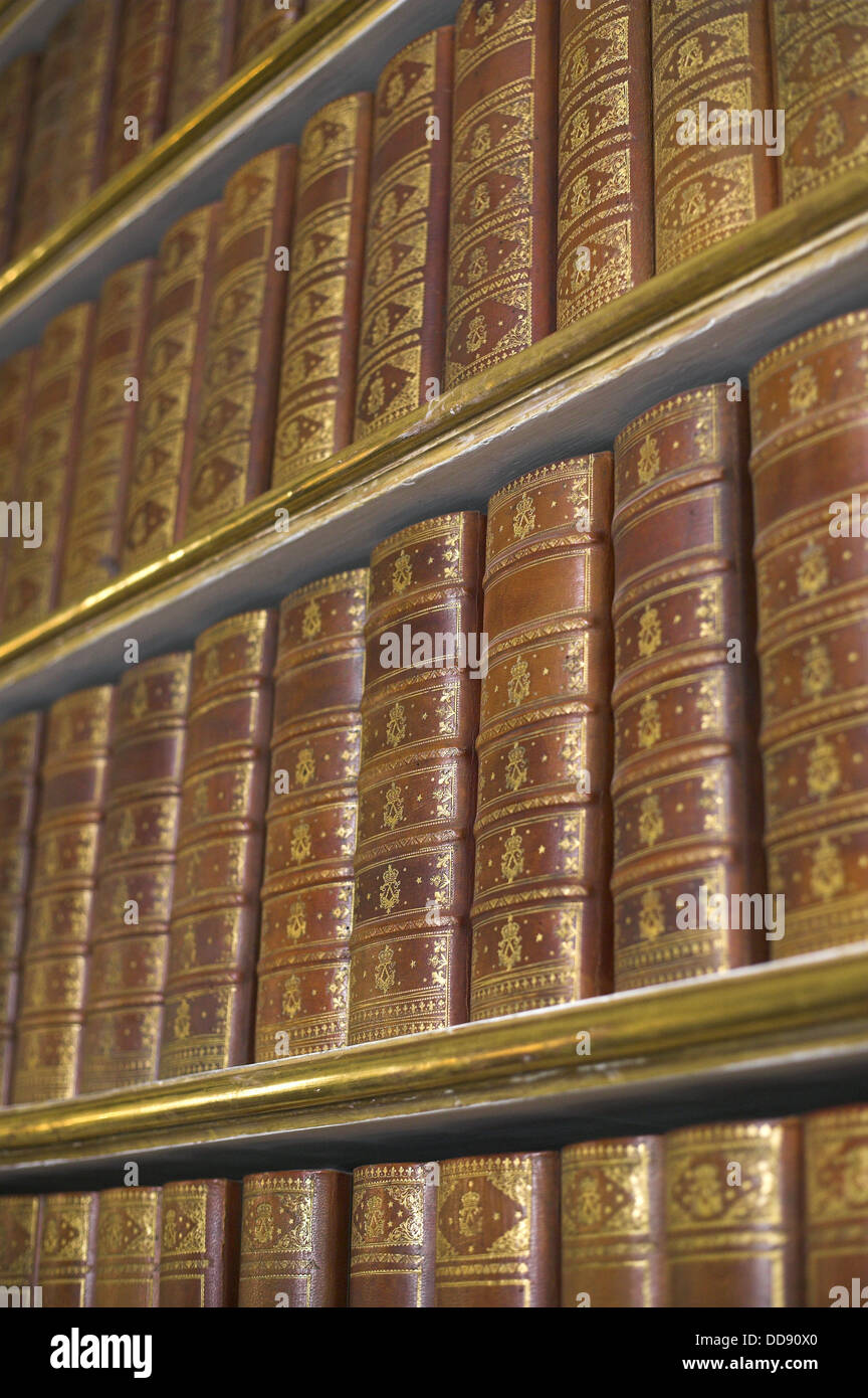 Old books in the library of Versailles. Chateau of Versailles. France ...