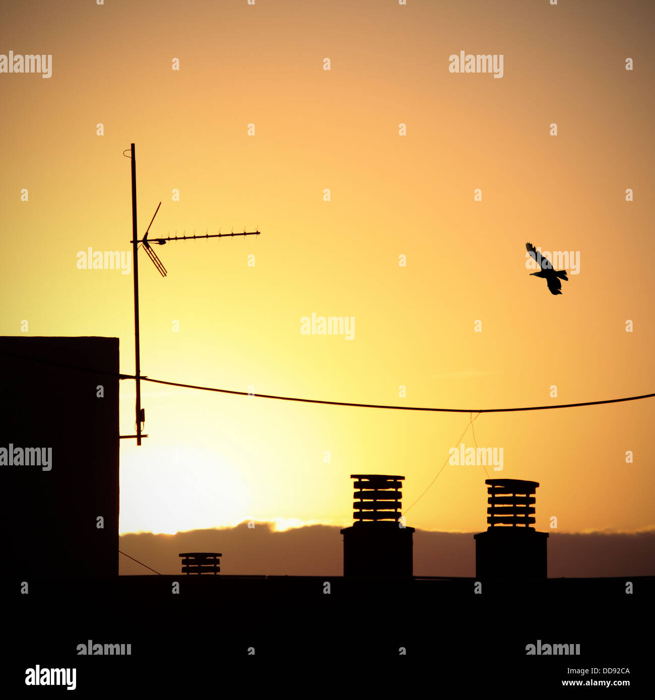Sunset city roof hi-res stock photography and images - Alamy