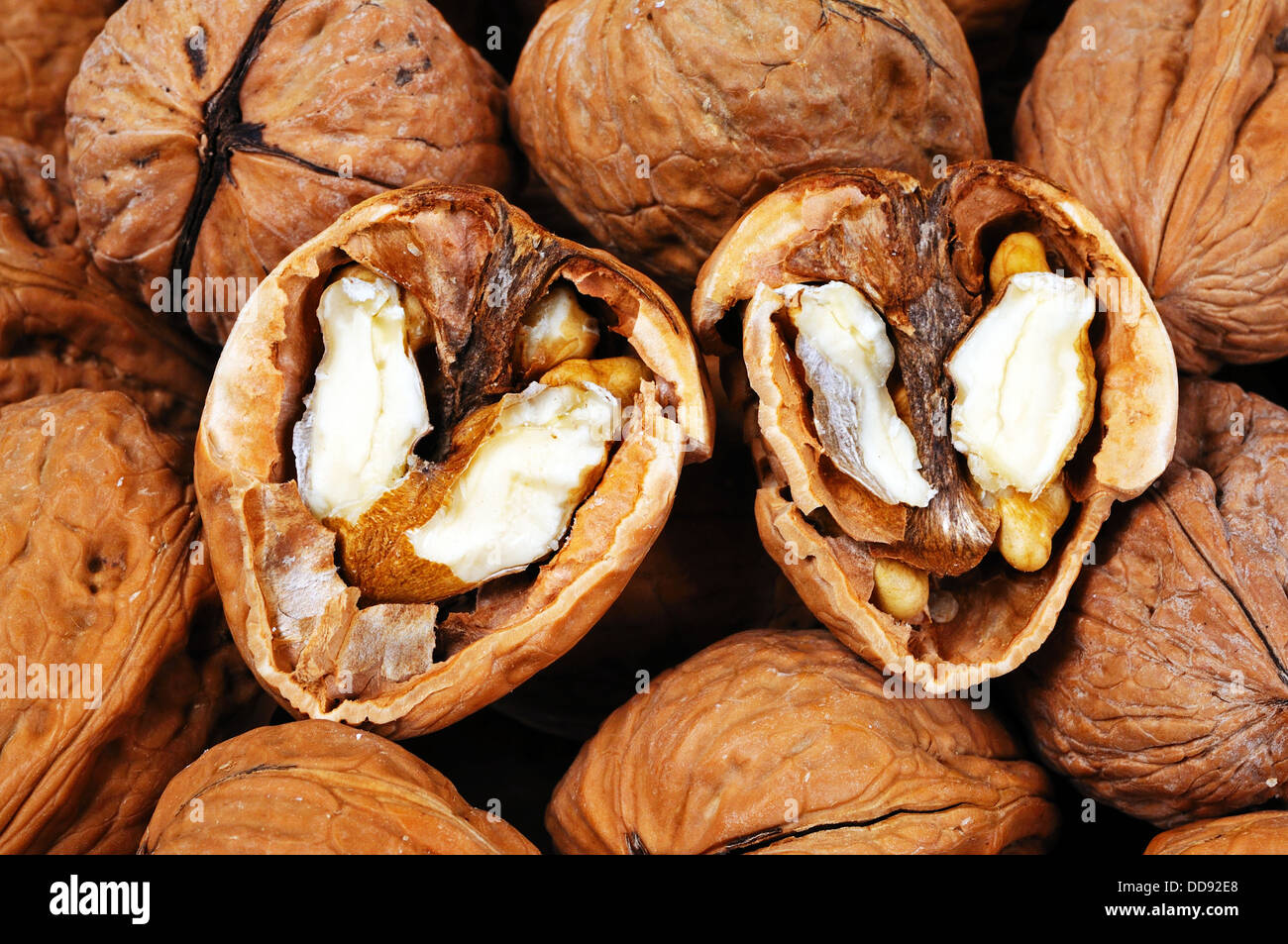 Split shells hi-res stock photography and images - Alamy