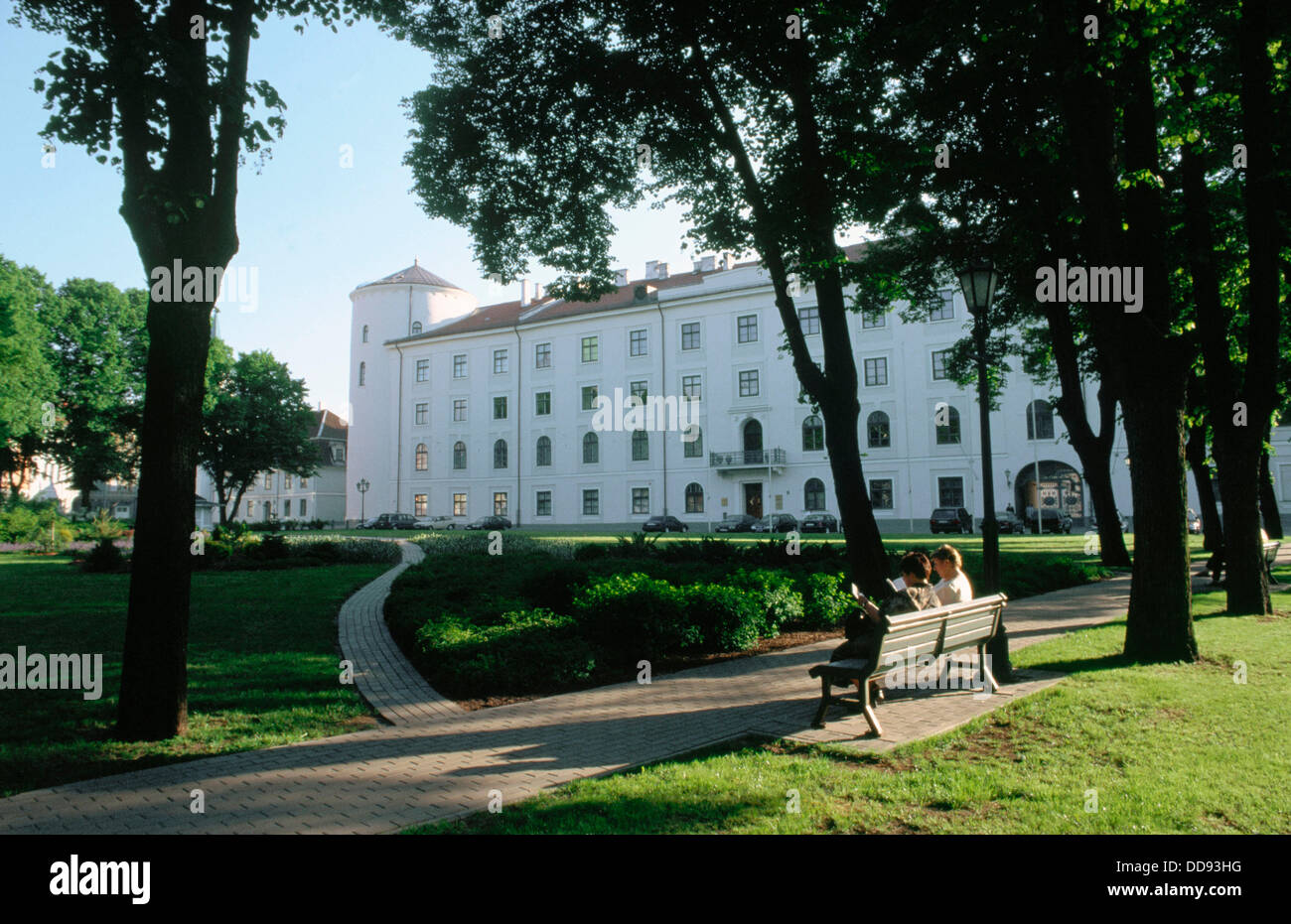 Tree of pils hi-res stock photography and images - Alamy