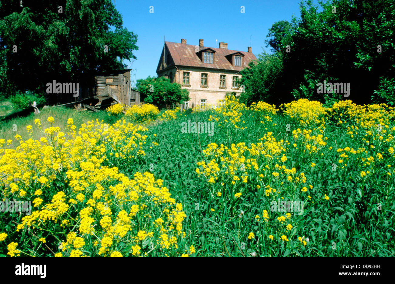 House in Kipsala. Riga. Latvia Stock Photo - Alamy