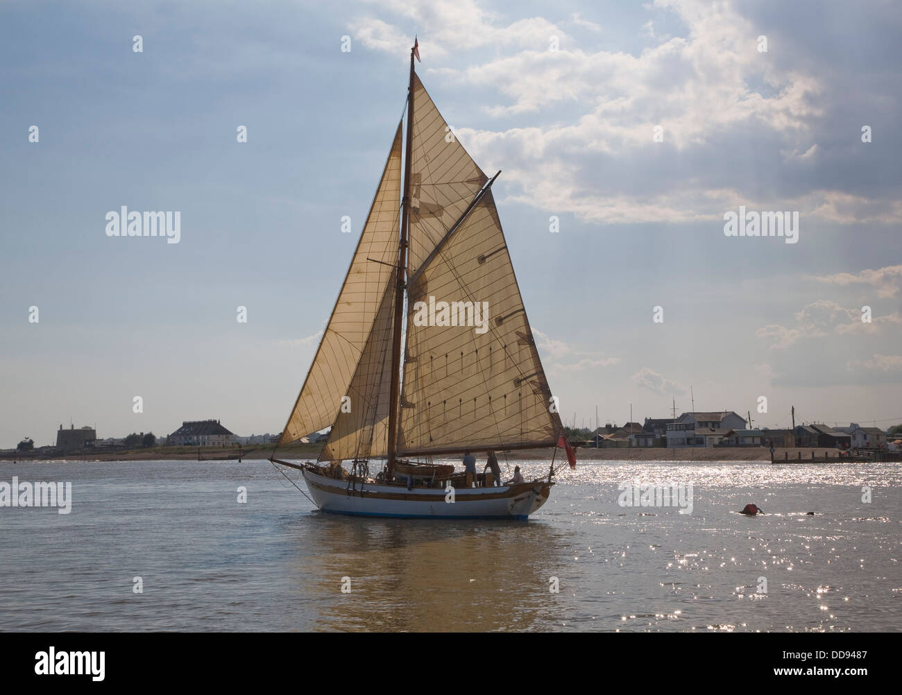 Historic wooden sailing yacht boat full sail River Deben mouth Bawdsey ...