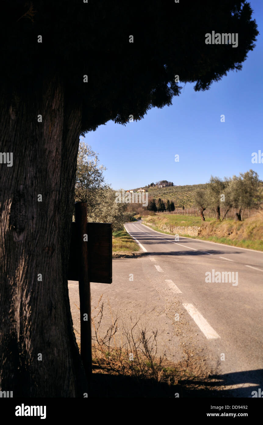 Signal Tree Stock Photos & Signal Tree Stock Images - Alamy