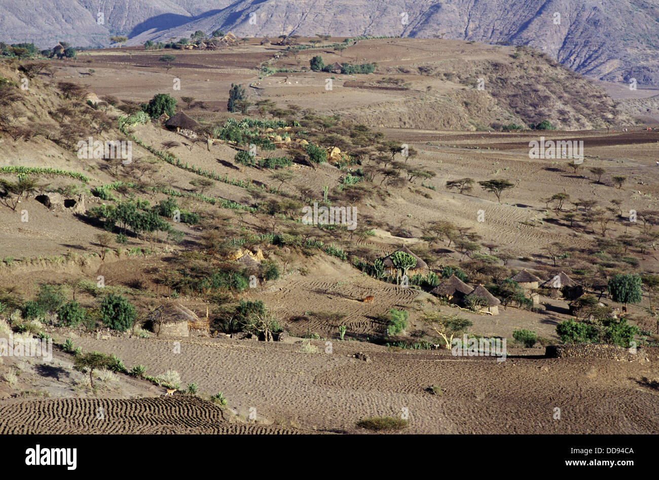 Wollo province and ethiopia hi-res stock photography and images - Alamy