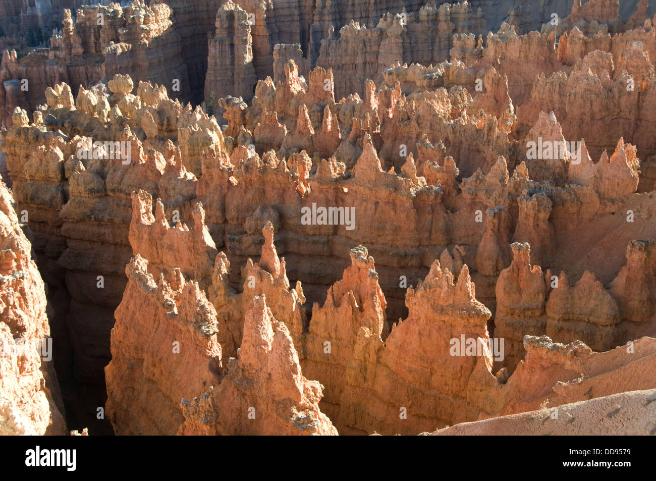 Giant amphitheater hi-res stock photography and images - Alamy