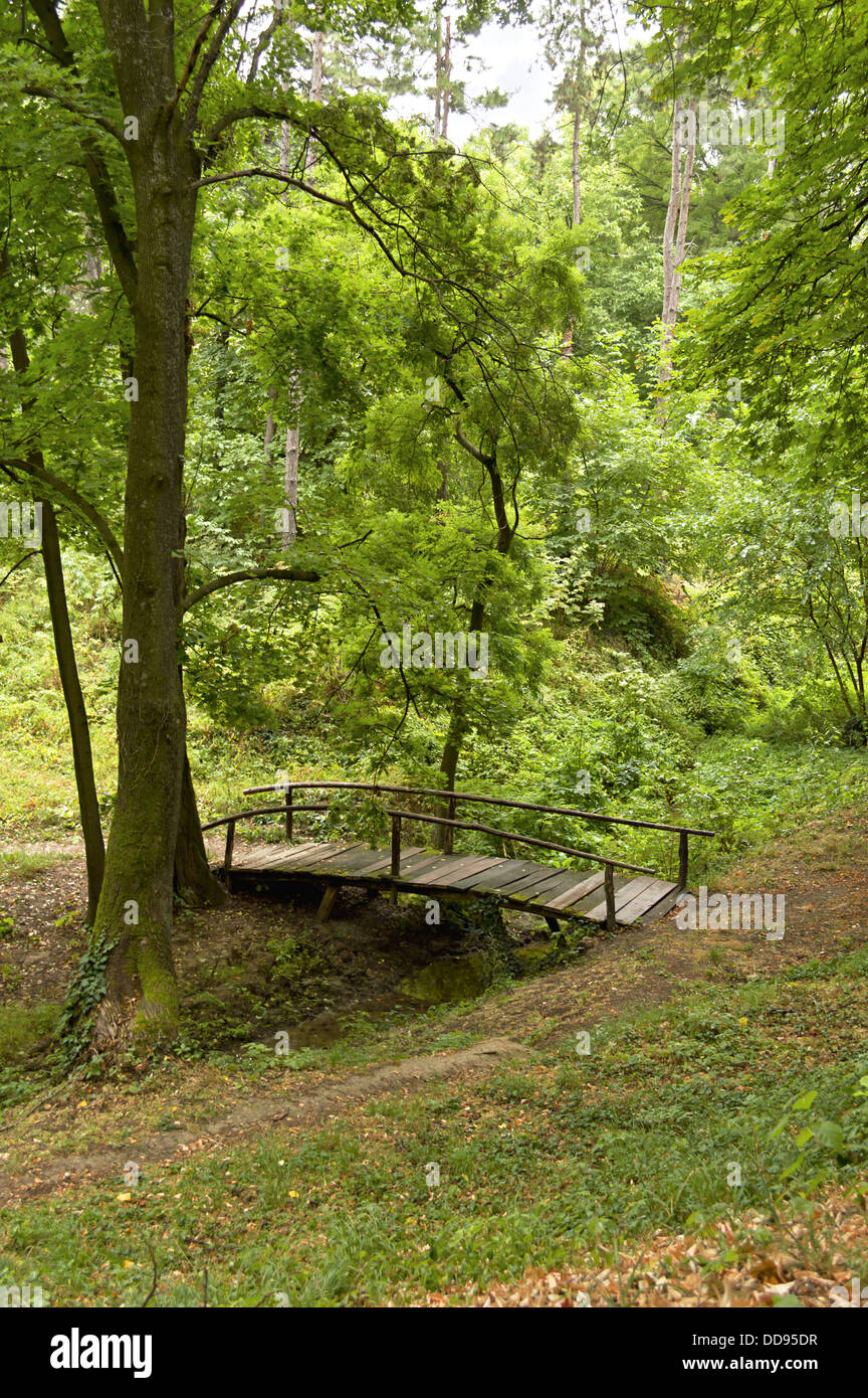 Small wooden bridge over a stream in a forest Stock Photo - Alamy