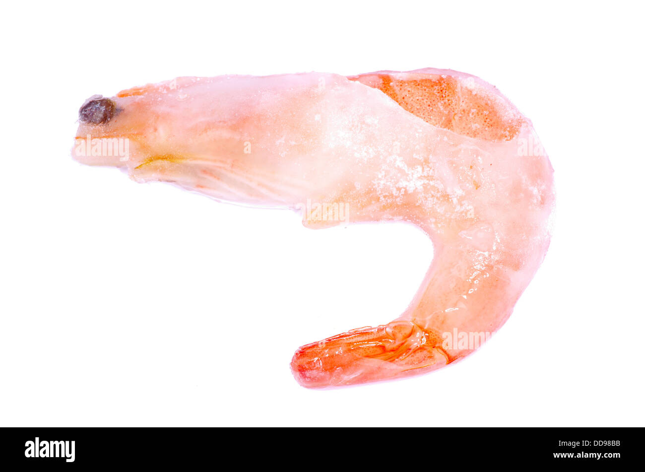 Shrimp with tail cooked hi-res stock photography and images - Alamy