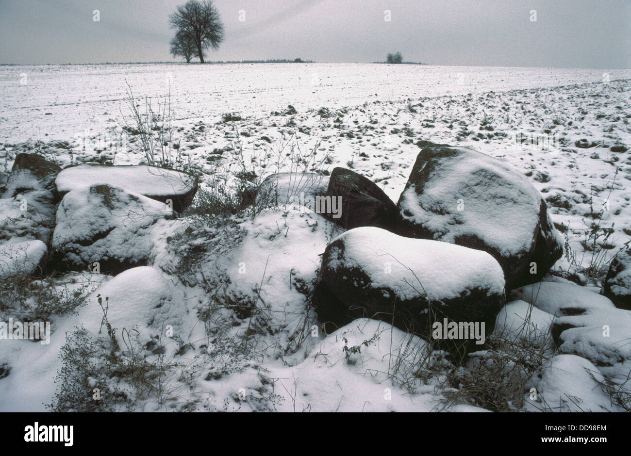 Podlasie region. Poland Stock Photo - Alamy