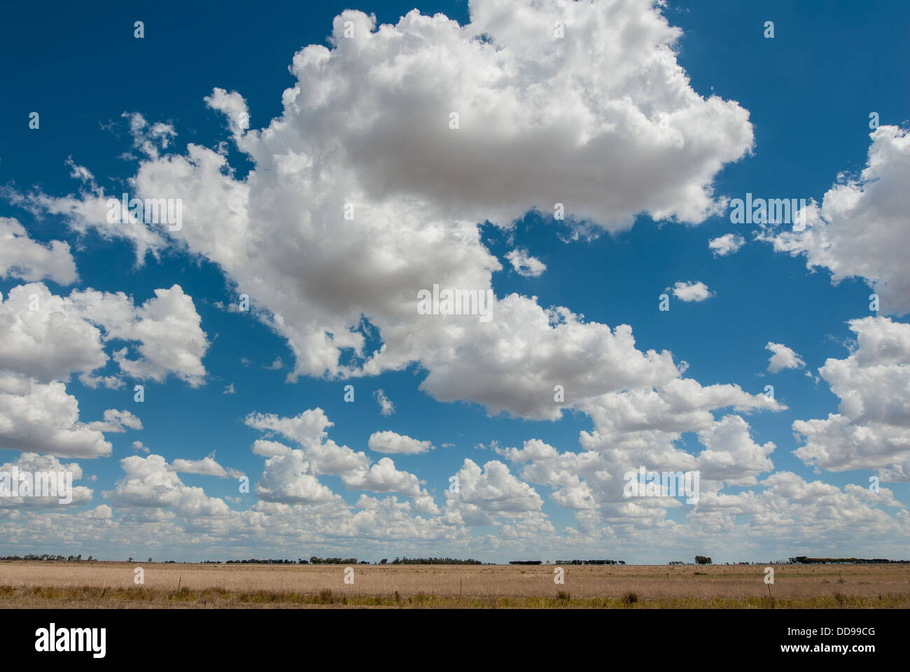 Sky and field Stock Photo - Alamy