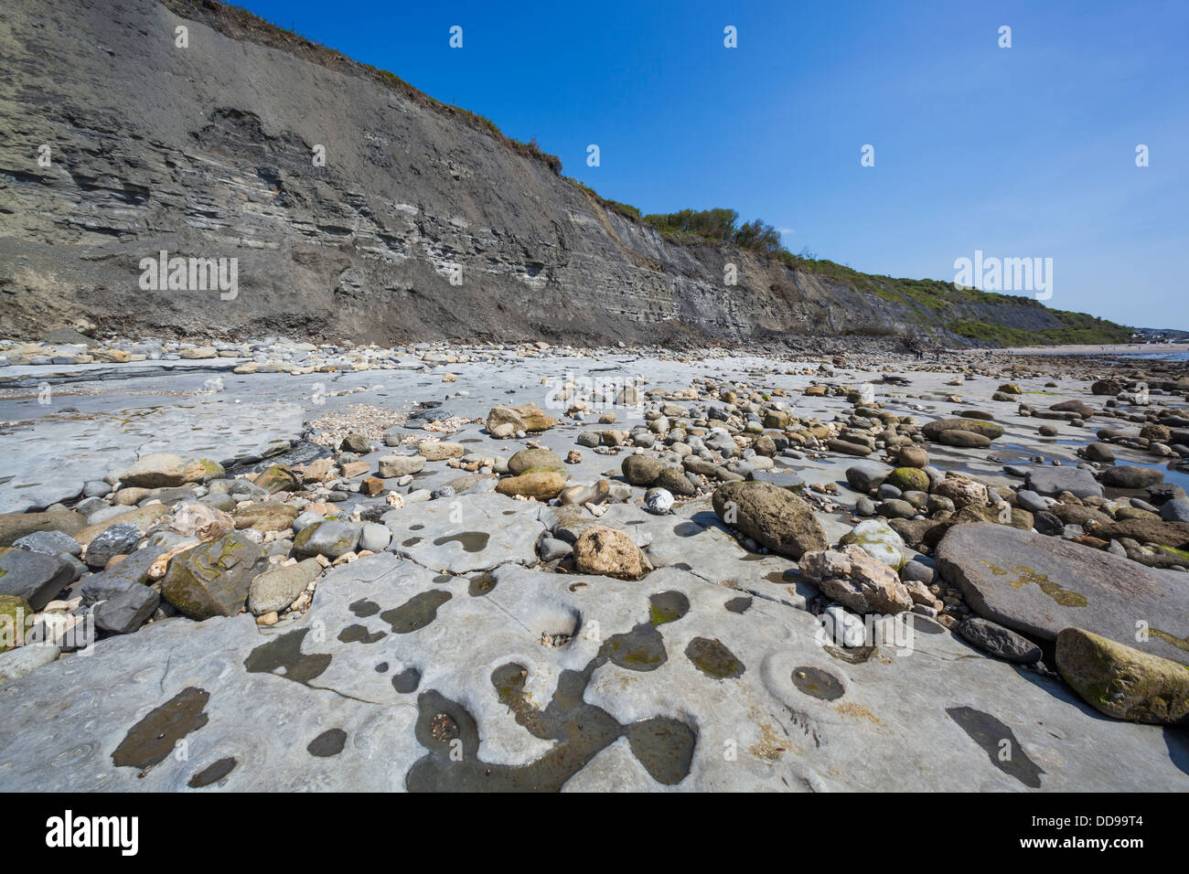 England, Dorset, Lyme Regis, Jurassic Coast, Rocks with Ammonite ...