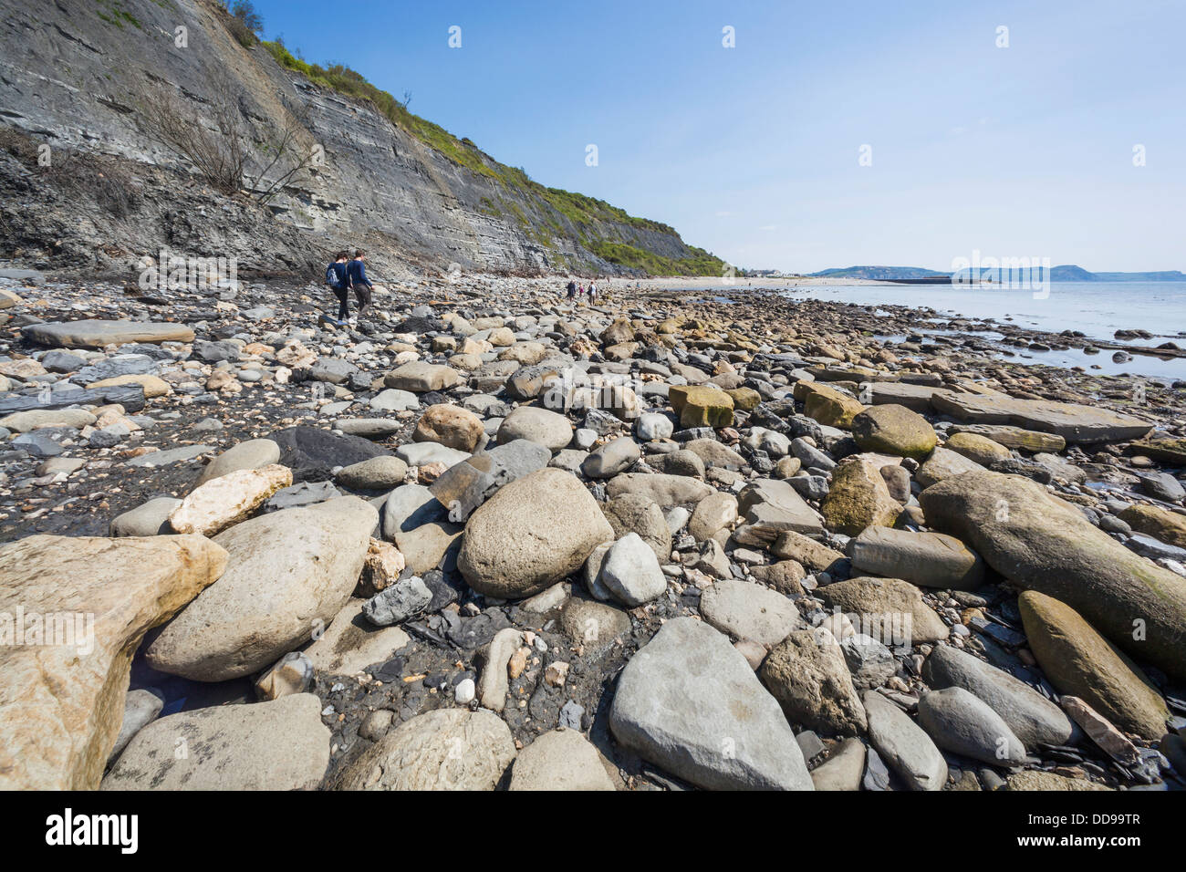 England, Dorset, Lyme Regis, Jurassic Coast, Rocks with Ammonite ...