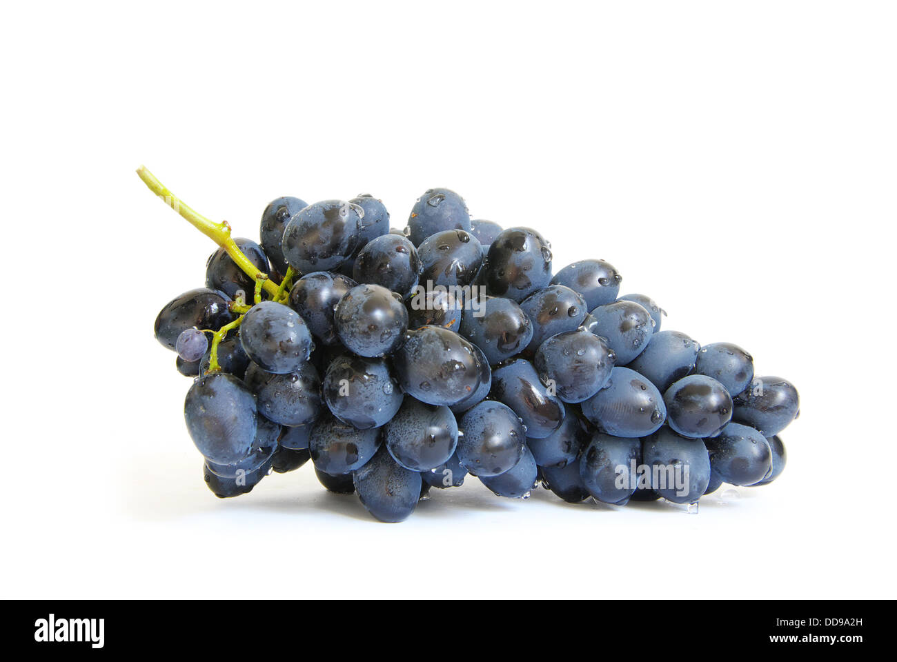 branch of grapes Stock Photo - Alamy