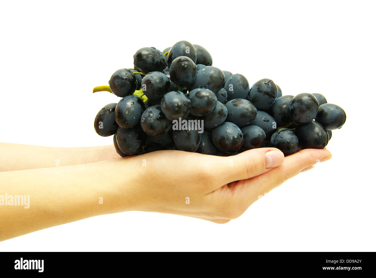 grape in hand Stock Photo - Alamy