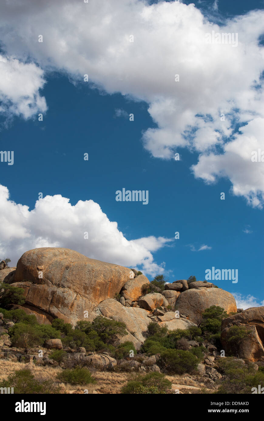 Terrick terrick national park hi-res stock photography and images - Alamy