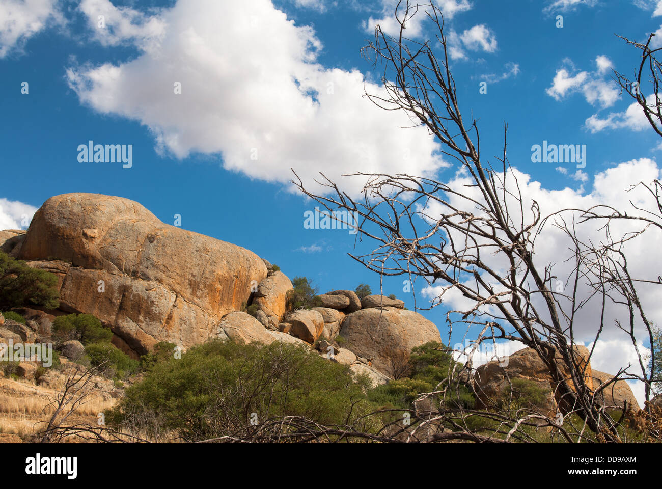 Terrick High Resolution Stock Photography and Images - Alamy
