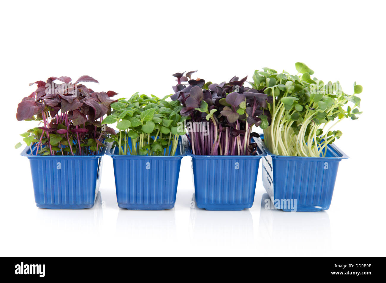 Plastic garden containers Cut Out Stock Images & Pictures - Alamy
