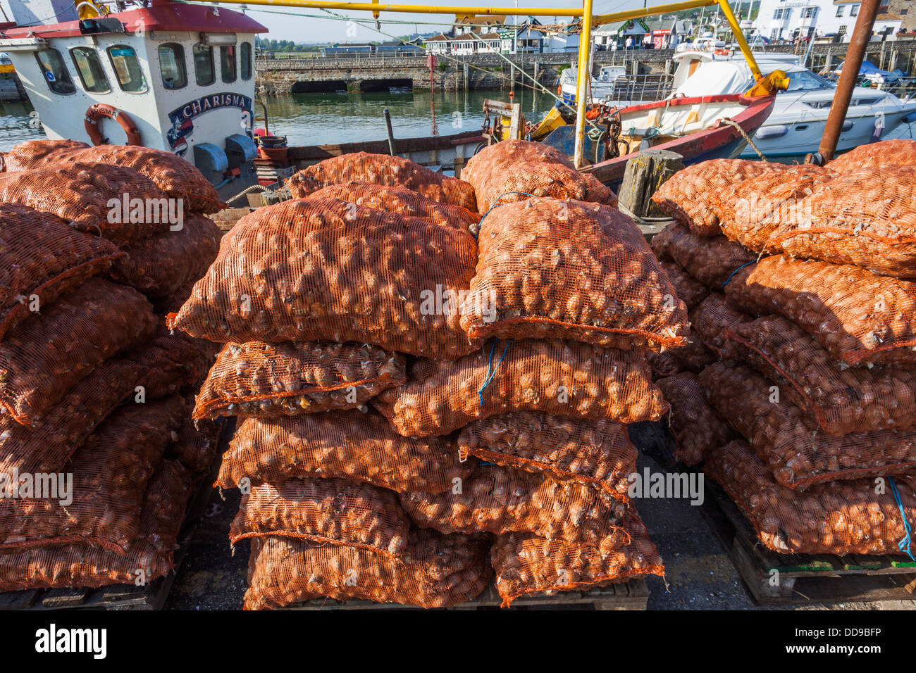 Sacks of whelks hi-res stock photography and images - Alamy
