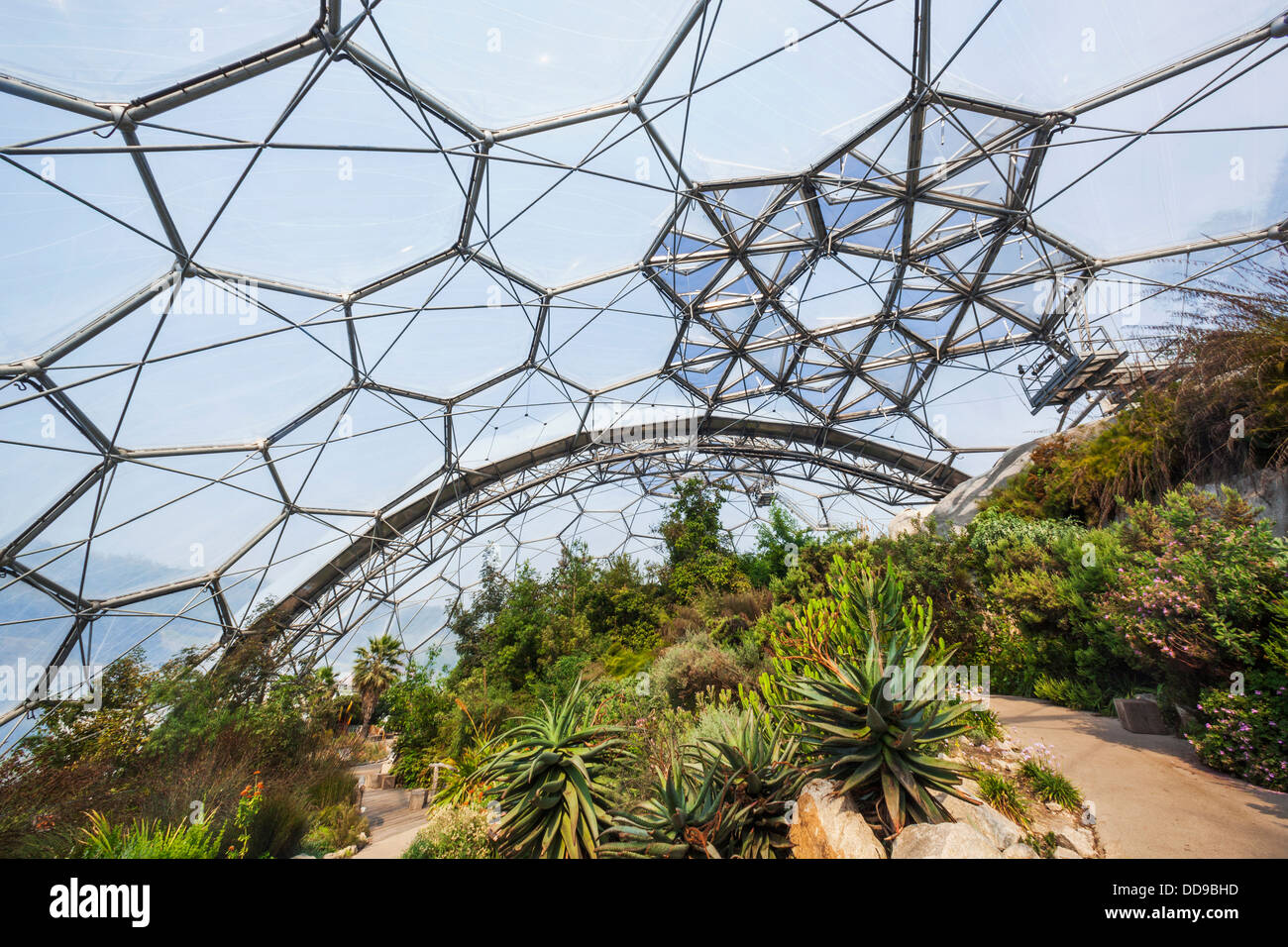 Eden project cornwall interior flowers hi-res stock photography and ...