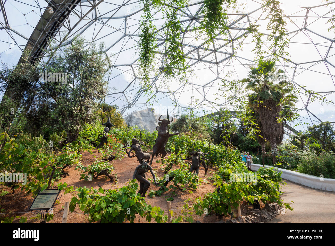 Eden project cornwall interior flowers hi-res stock photography and ...