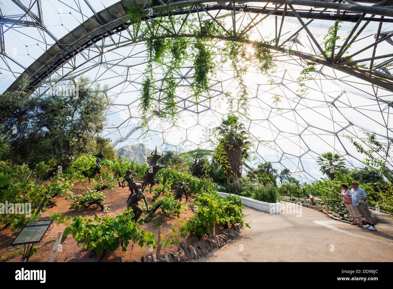 Eden project cornwall interior flowers hi-res stock photography and ...