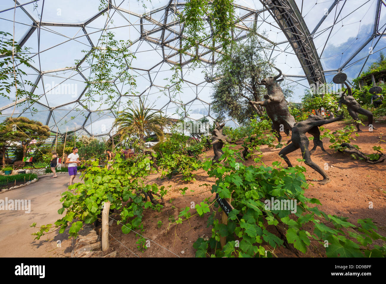 Eden project cornwall interior flowers hi-res stock photography and ...