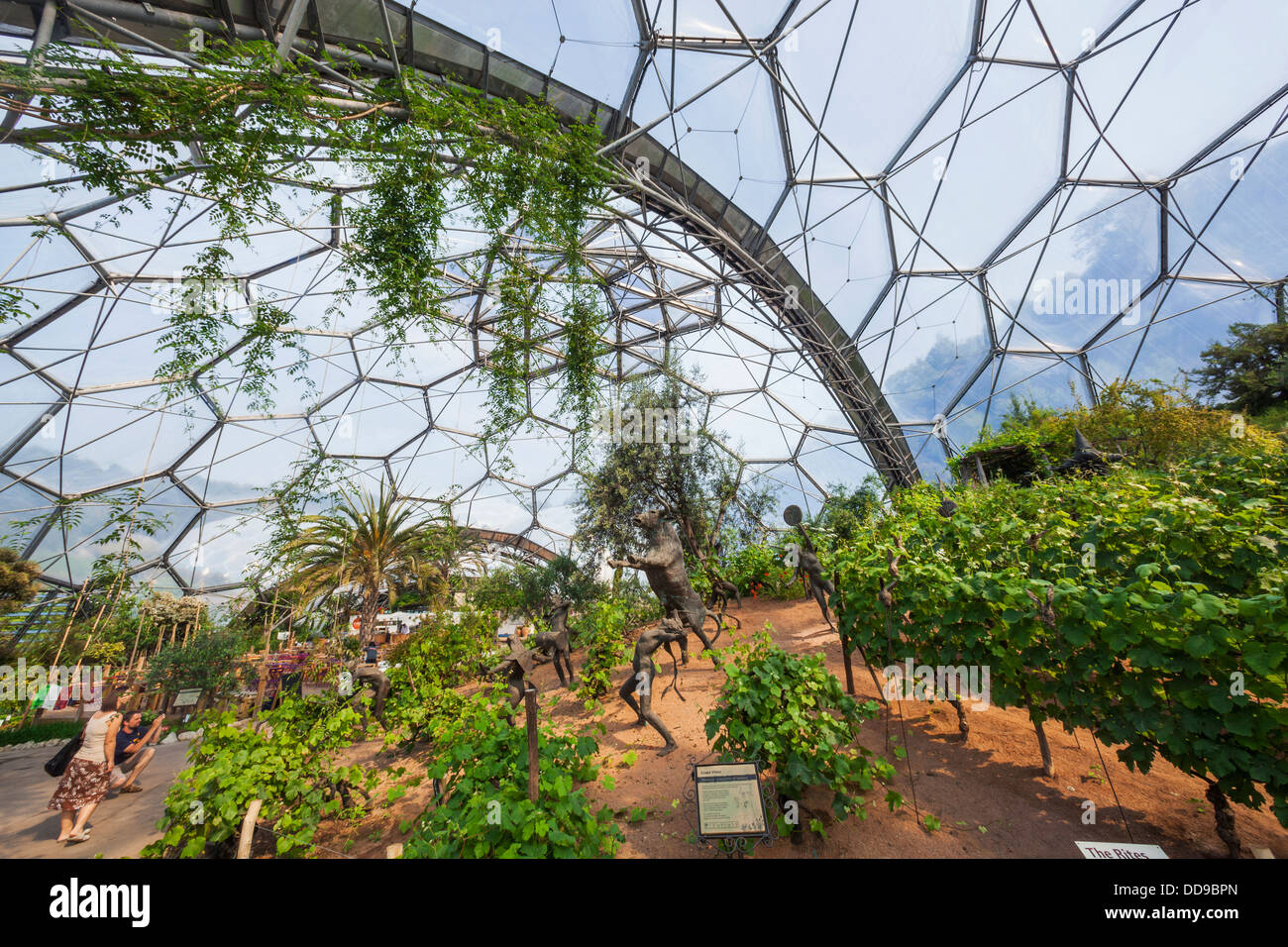 Eden project cornwall interior flowers hi-res stock photography and ...