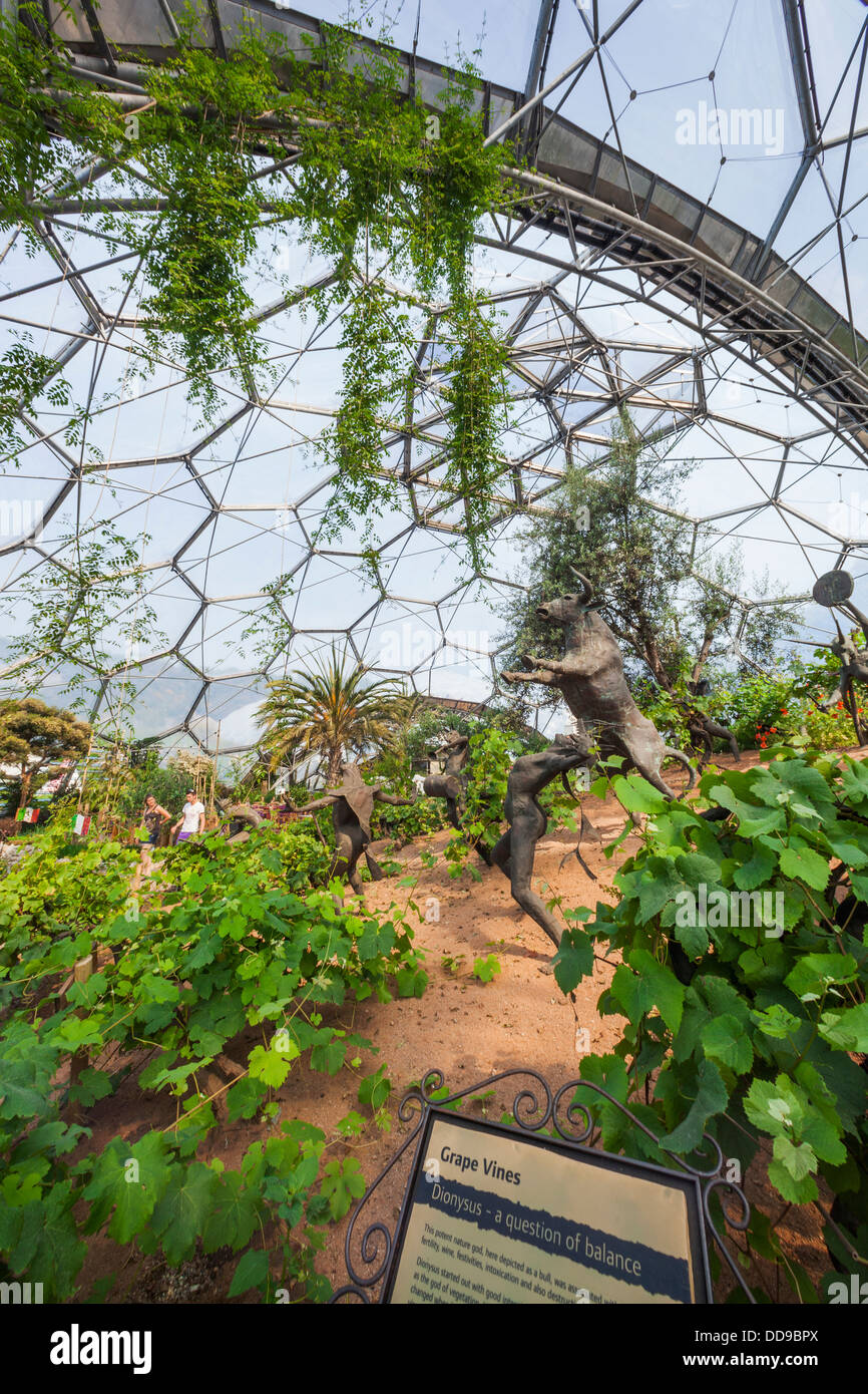 Eden project cornwall interior flowers hi-res stock photography and ...