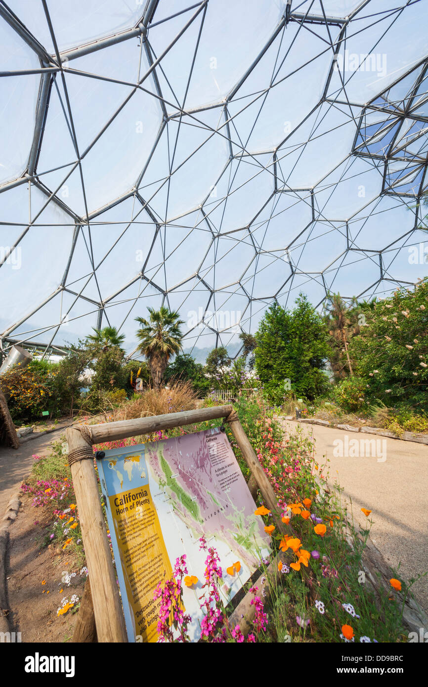 Eden project cornwall interior flowers hi-res stock photography and ...
