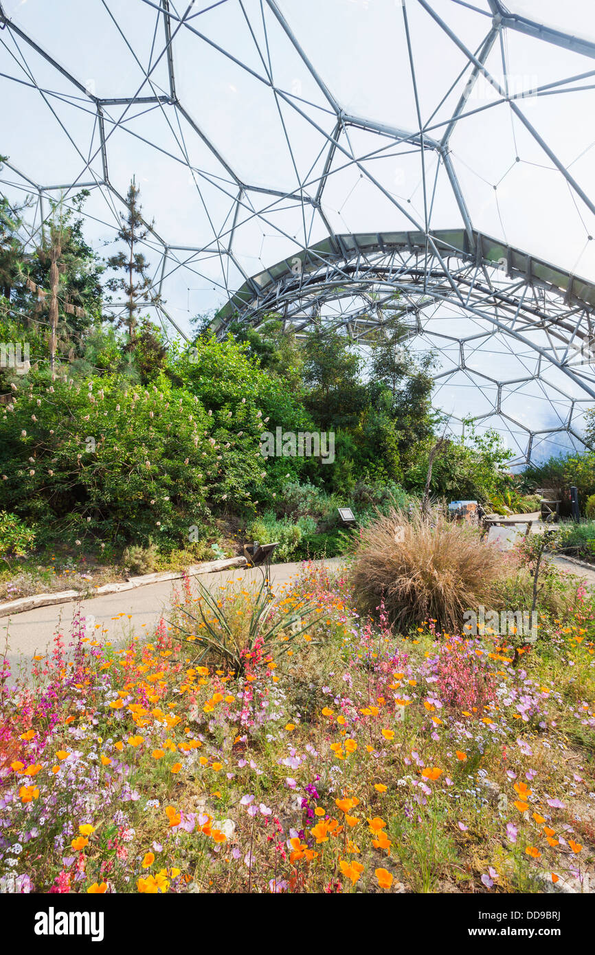 Eden project cornwall interior flowers hi-res stock photography and ...