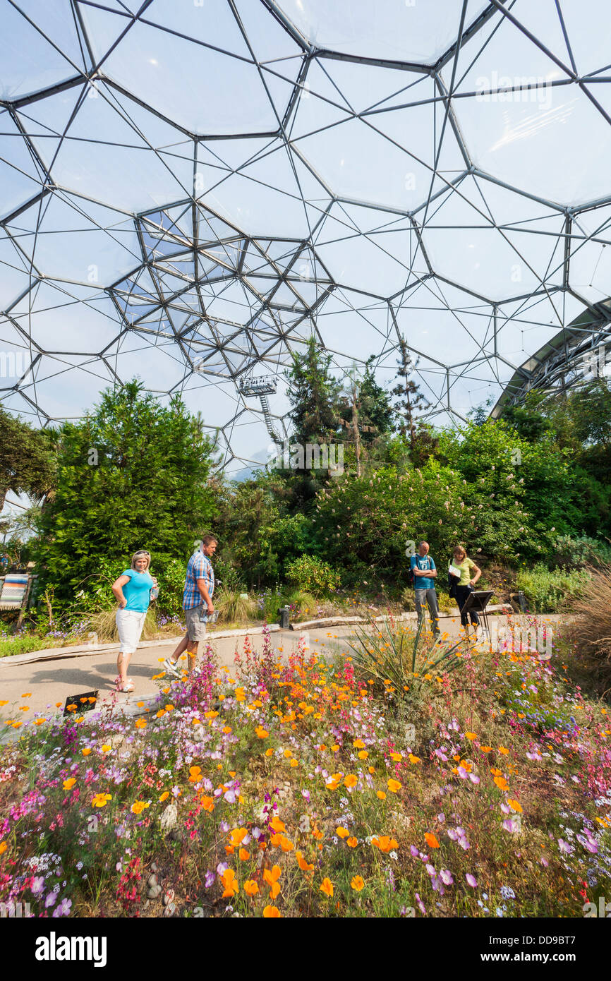 Eden project cornwall interior flowers hi-res stock photography and ...