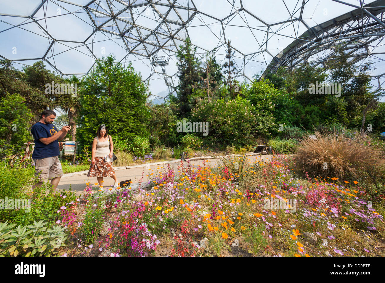 Eden project cornwall interior flowers hi-res stock photography and ...