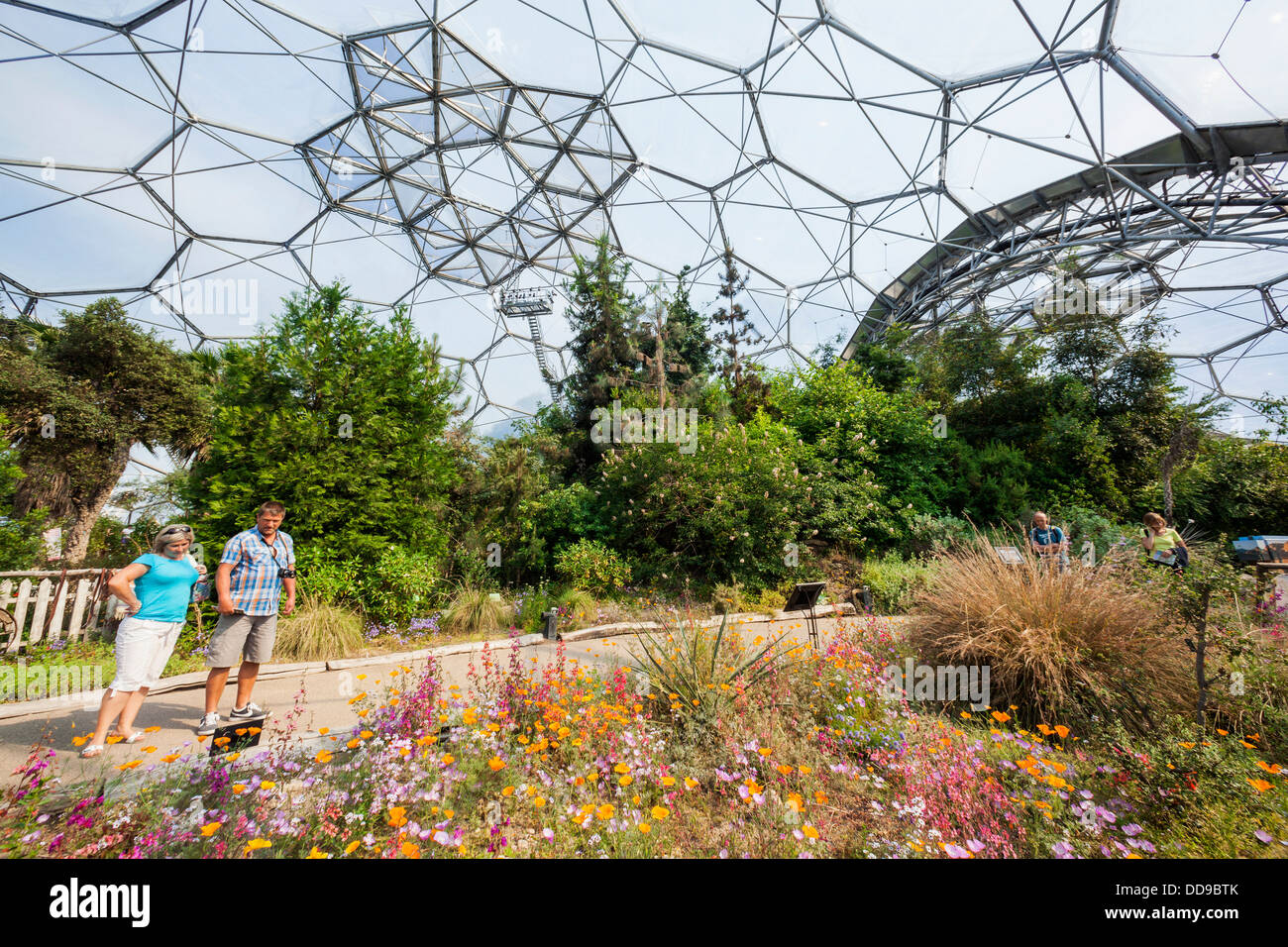 Eden project cornwall interior flowers hi-res stock photography and ...