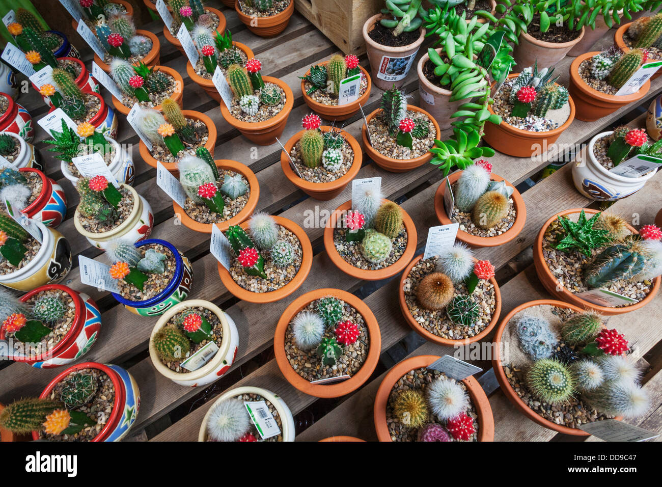 England, Cornwall, St.Austell, The Eden Project, Gardening Shop Display ...