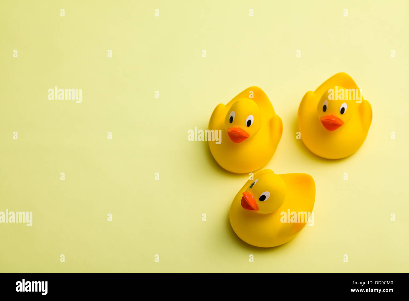 Little yellow ducky hi-res stock photography and images - Alamy