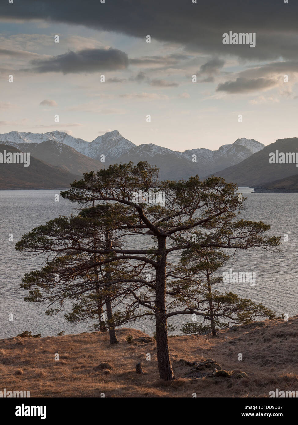 Loch quoich south hi-res stock photography and images - Alamy