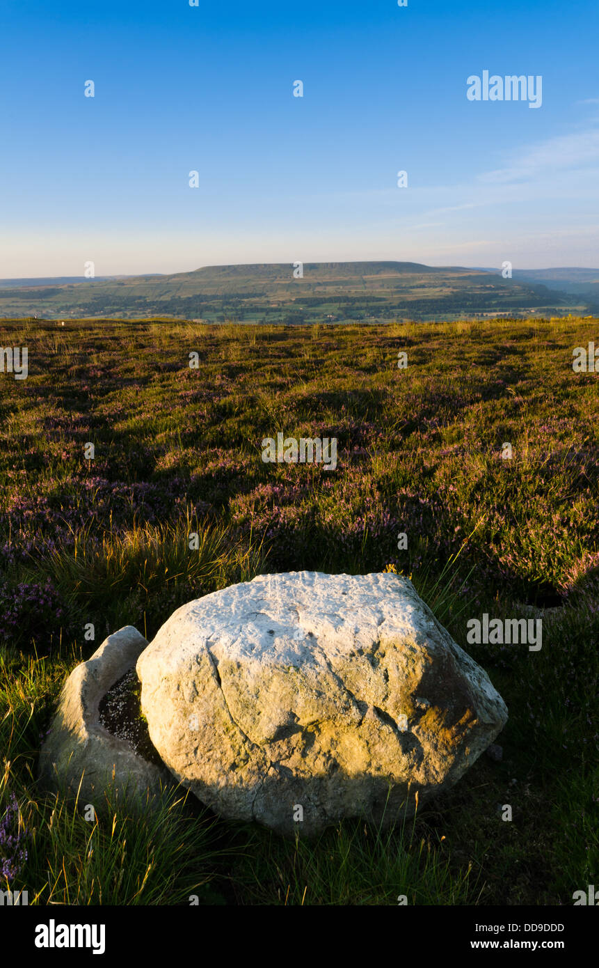 Heather moors hi-res stock photography and images - Alamy