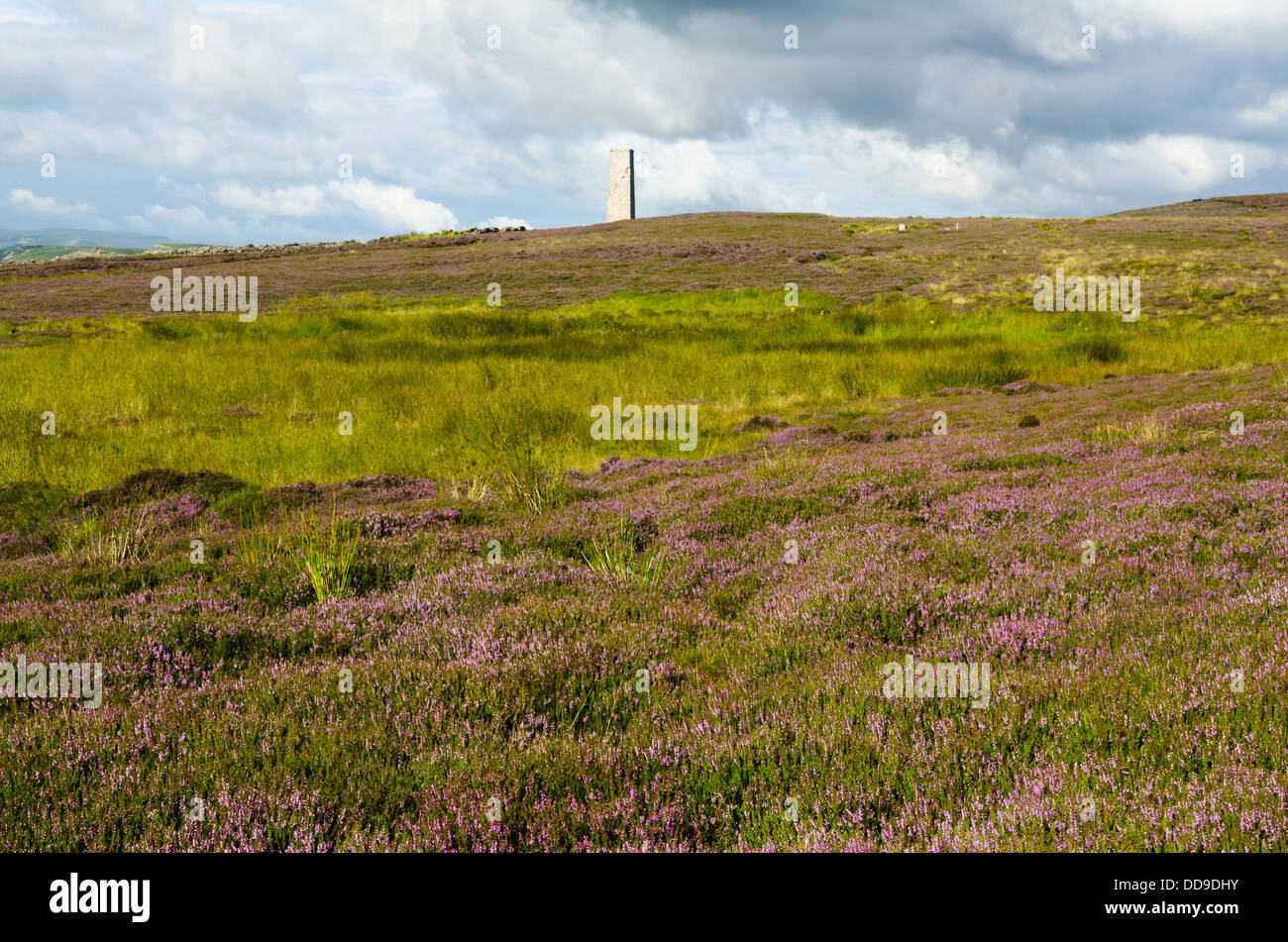 Land on heather moor hi-res stock photography and images - Alamy