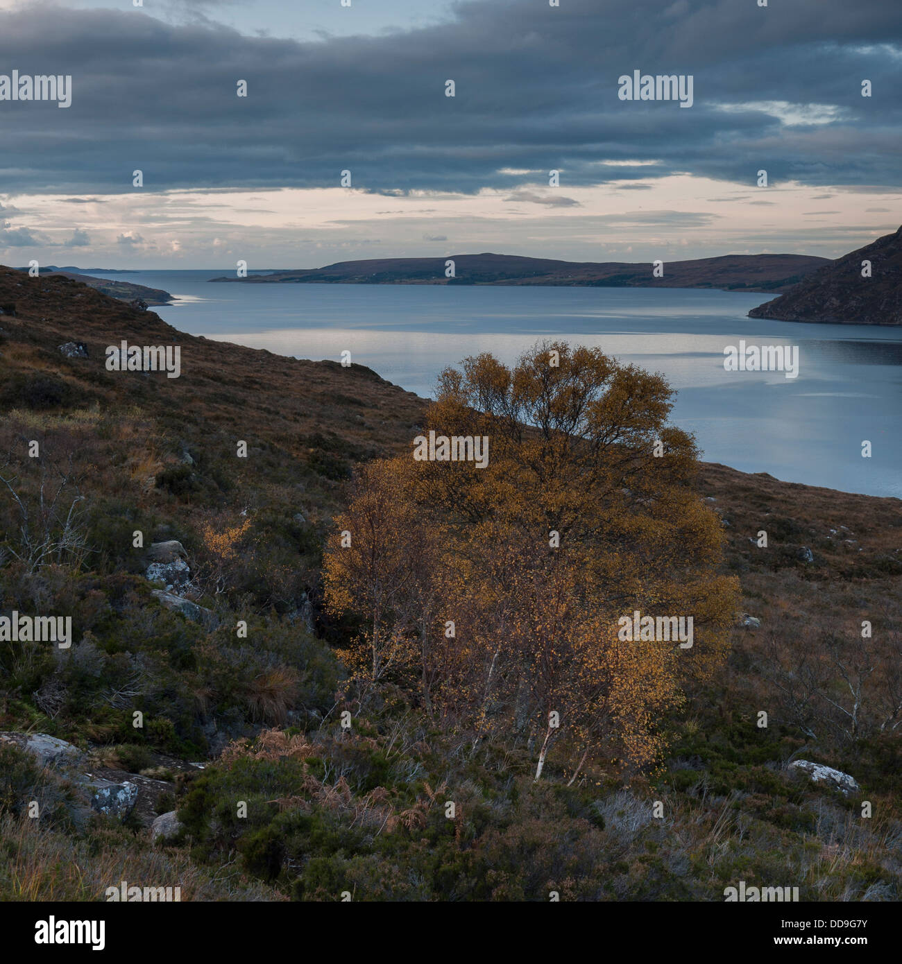 Scoraig hi-res stock photography and images - Alamy