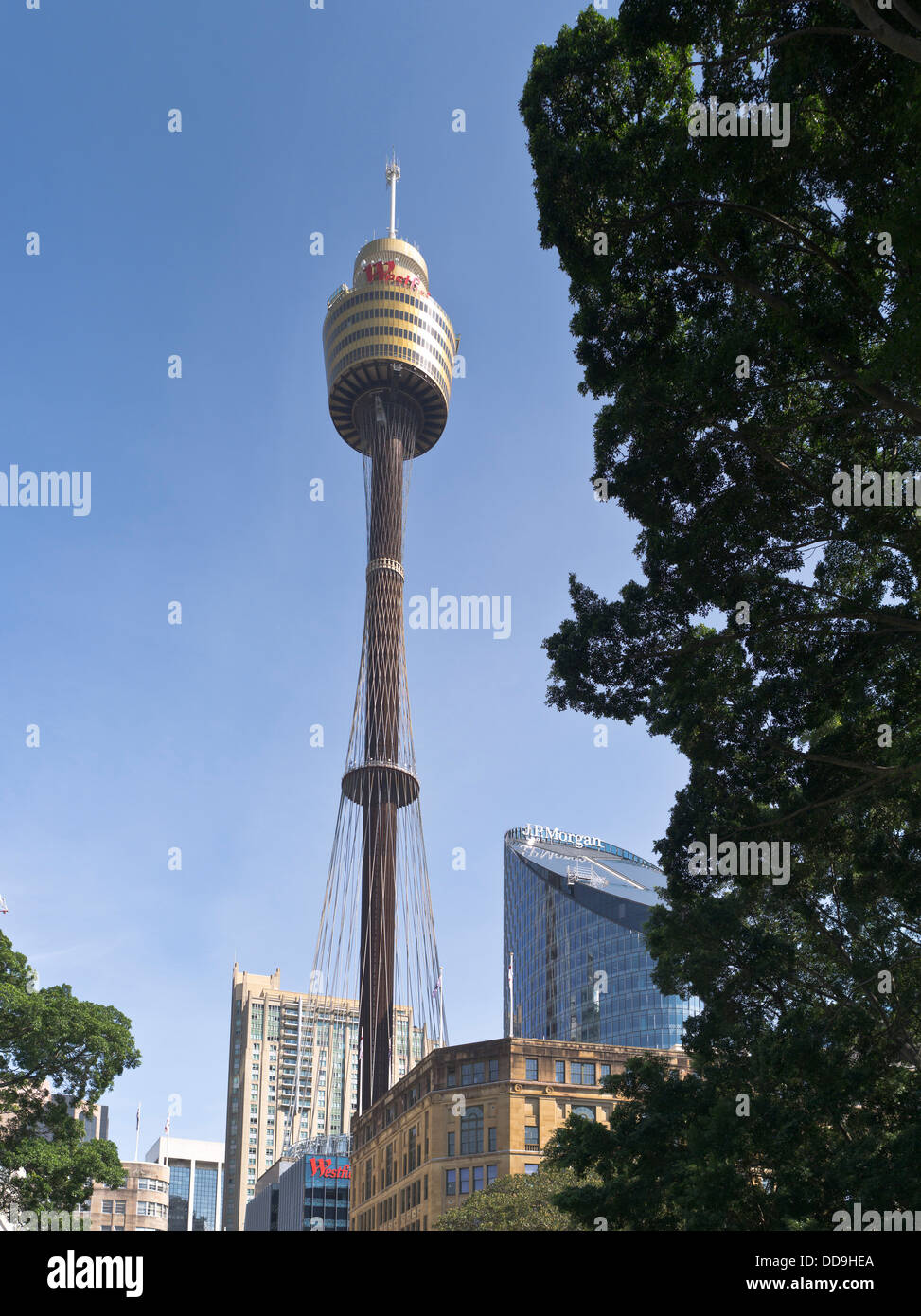 Sydney tower hi-res stock photography and images - Alamy
