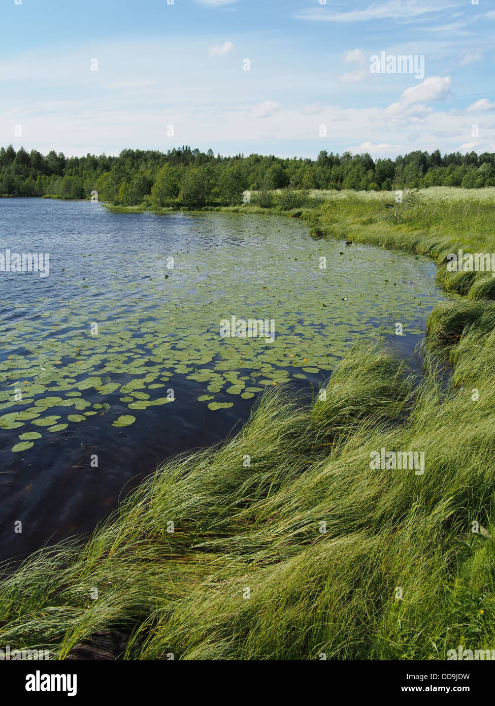 Fleck lake hi-res stock photography and images - Alamy