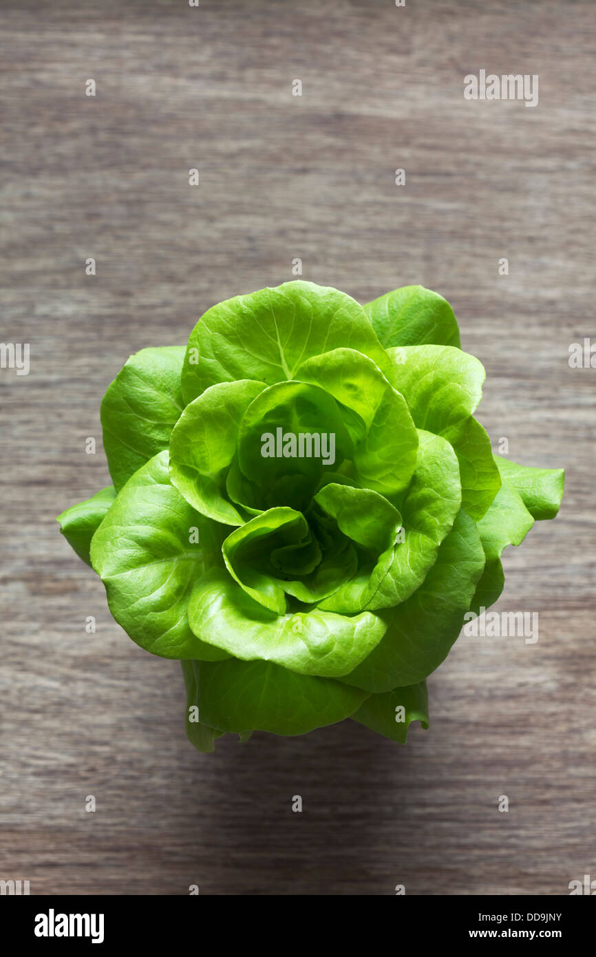 Lettuce, close up Stock Photo - Alamy