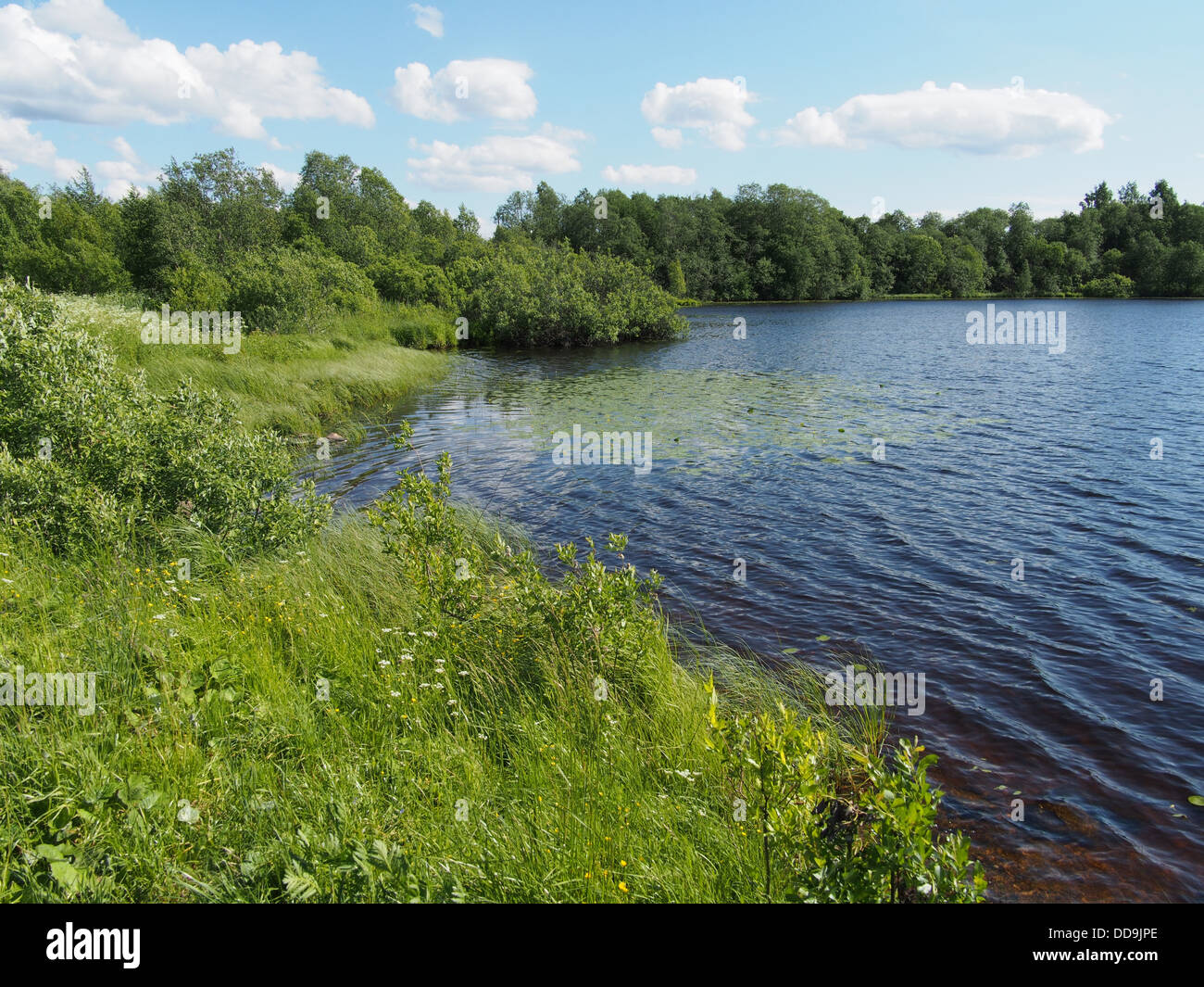 Fleck lake hi-res stock photography and images - Alamy