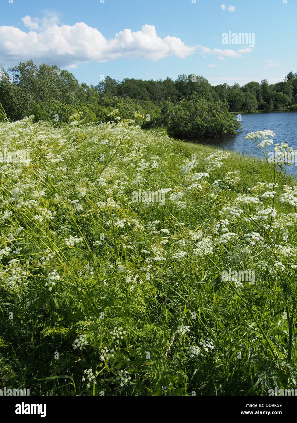 Fleck lake hi-res stock photography and images - Alamy