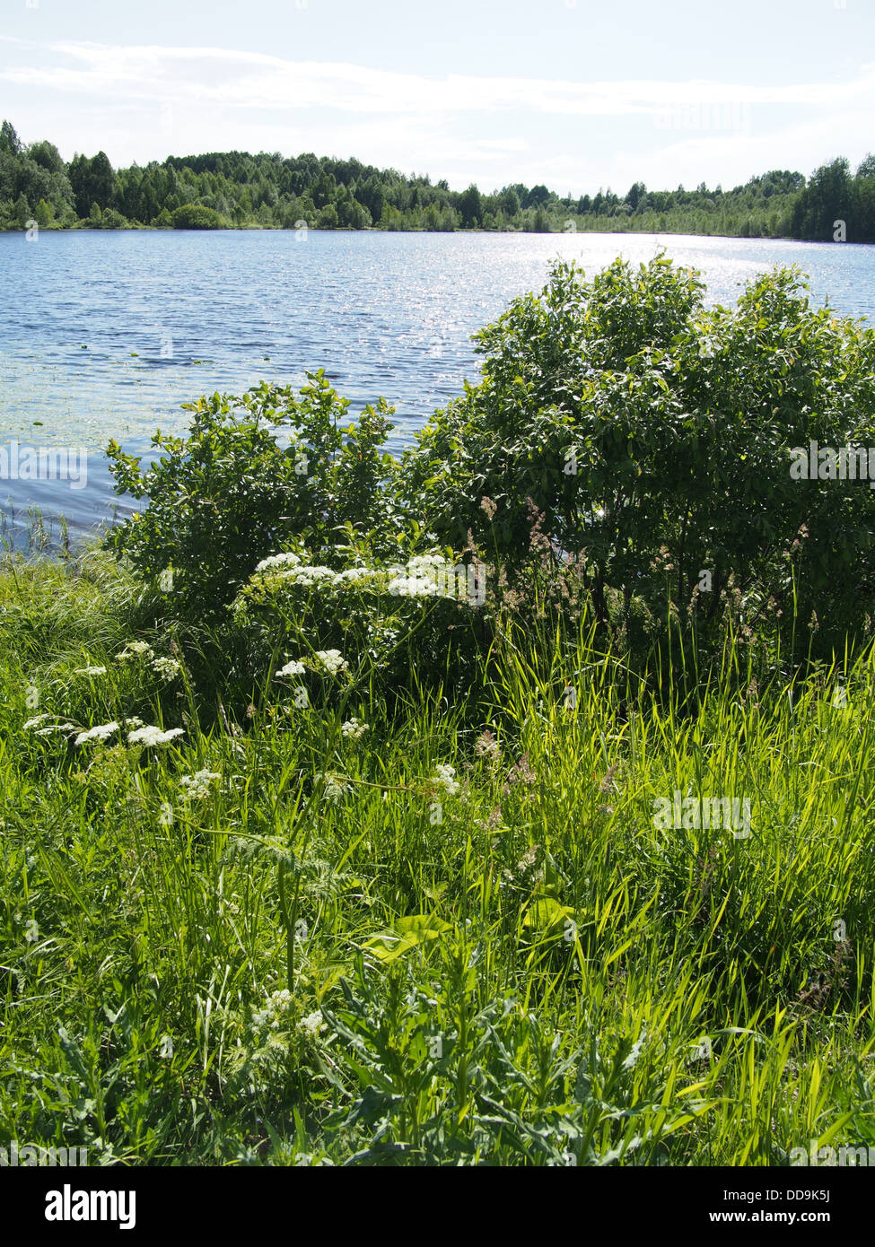 Fleck lake hi-res stock photography and images - Alamy