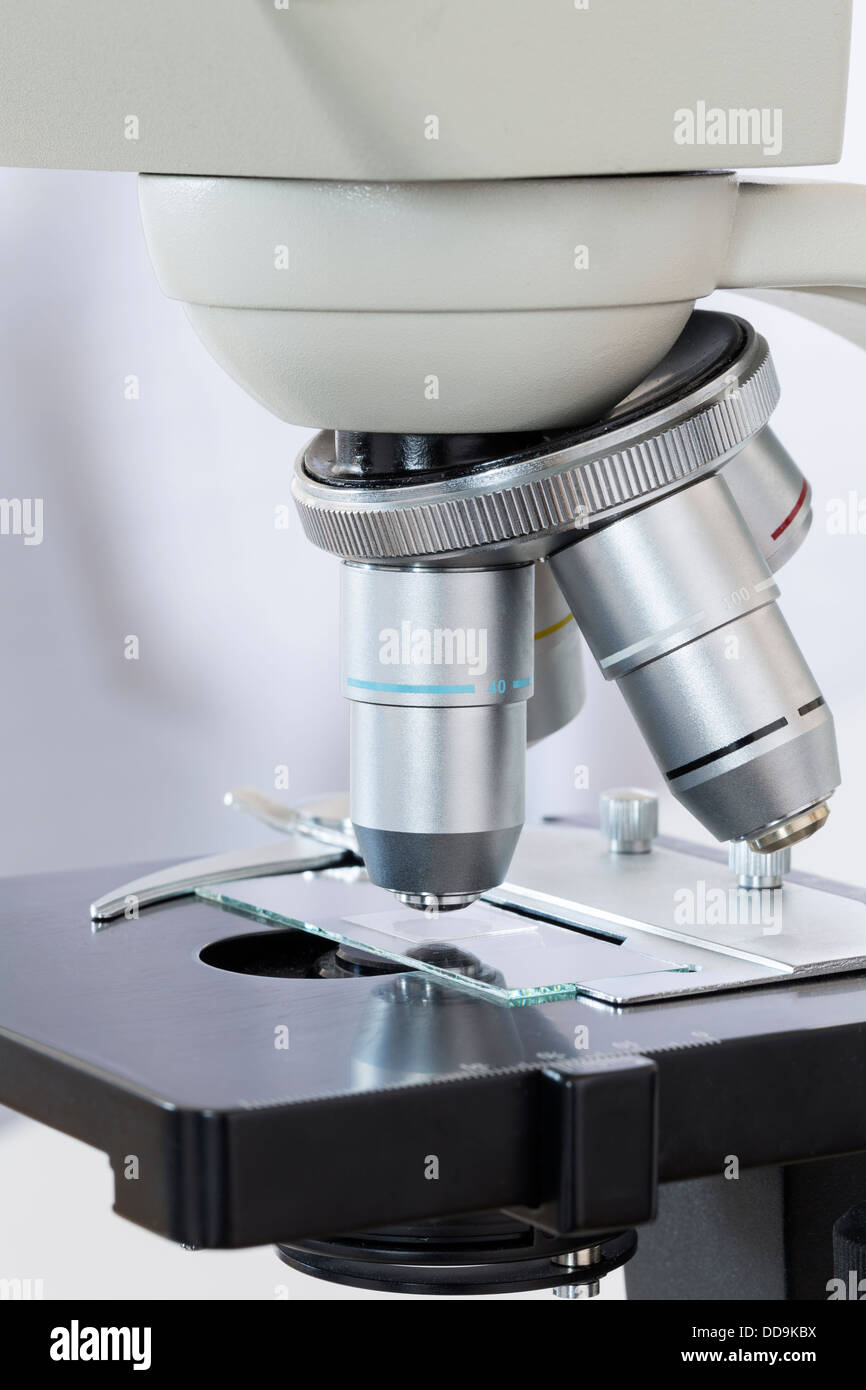 Germany, Freiburg im Breisgau, Slide under microscope, close-up Stock ...