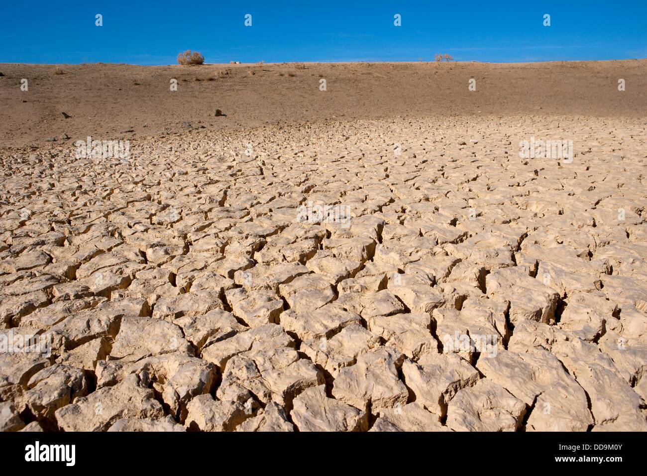 Battle Of Arapiles High Resolution Stock Photography and Images - Alamy