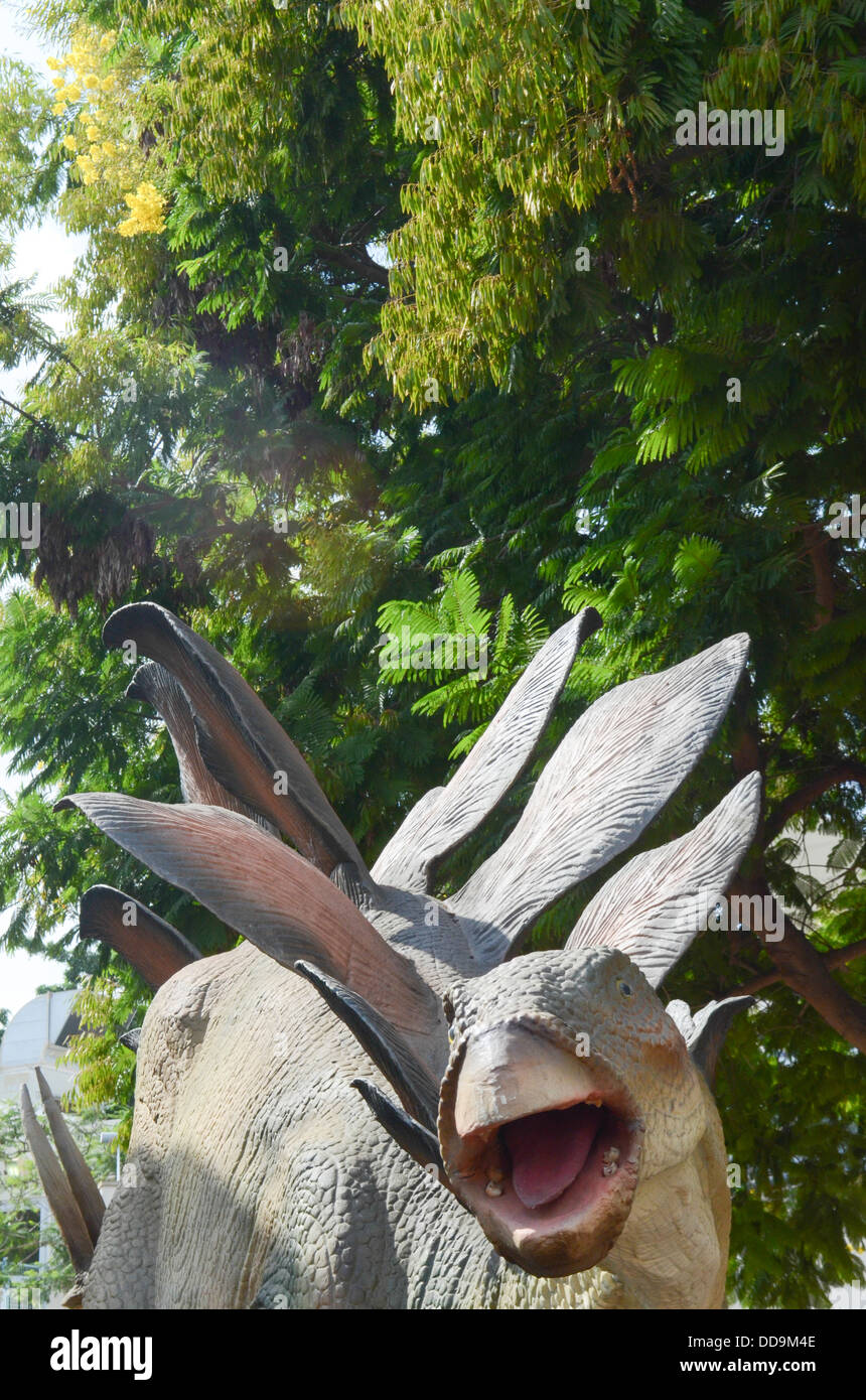 Stegosaurus dinosaurs. Stegosaurs ('roofed reptiles') were herbivores ...